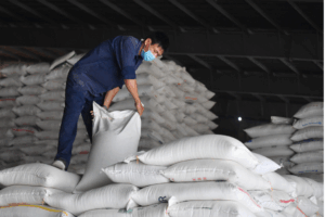 Packing of Rice for Exports: Process to Pack Rice | havigo.vn