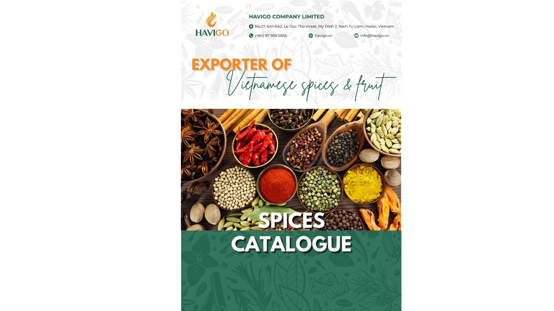 Home Page [havigo.vn]