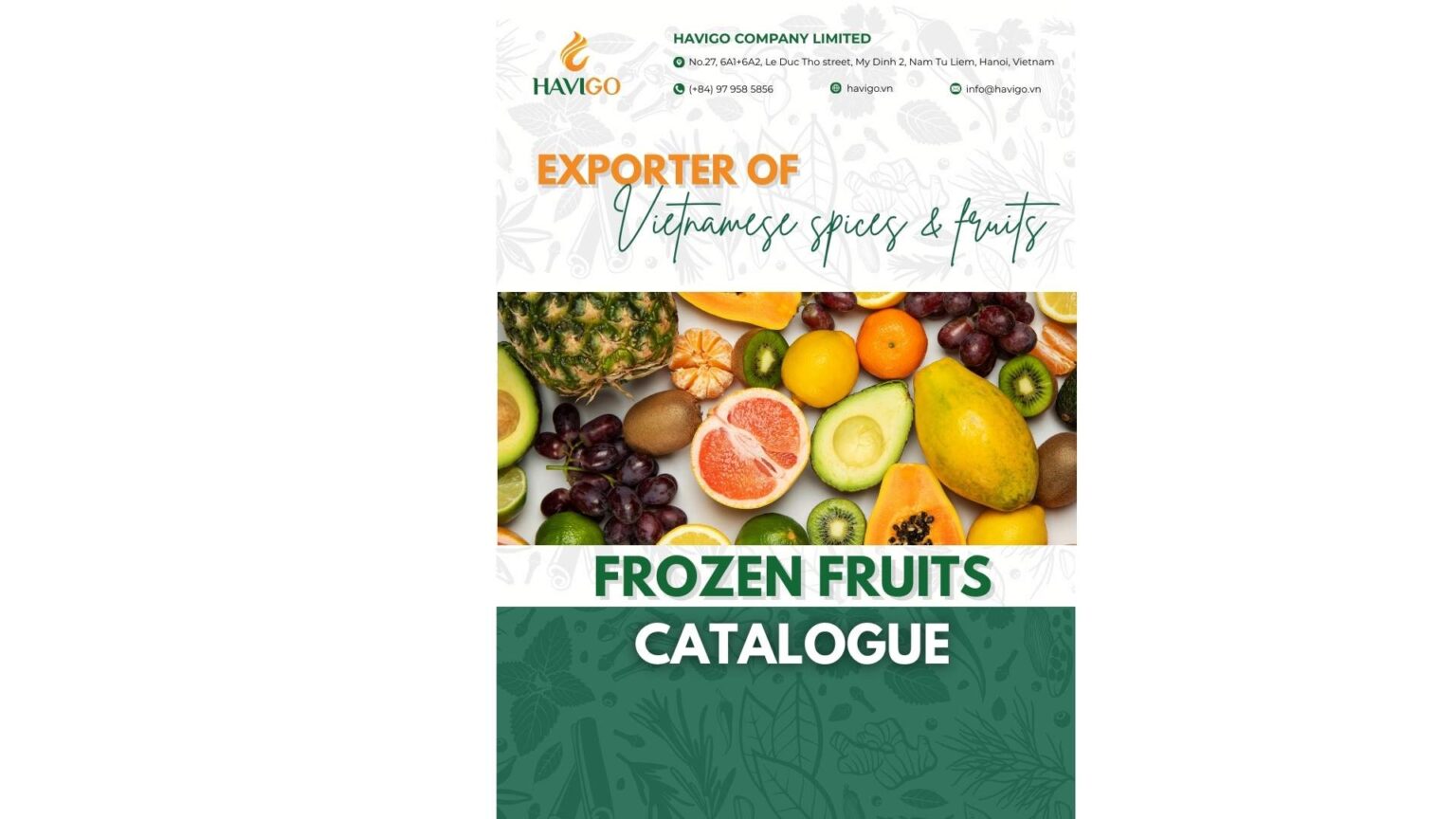 Vietnam Mango Exports to China Dominate the Market in 2025